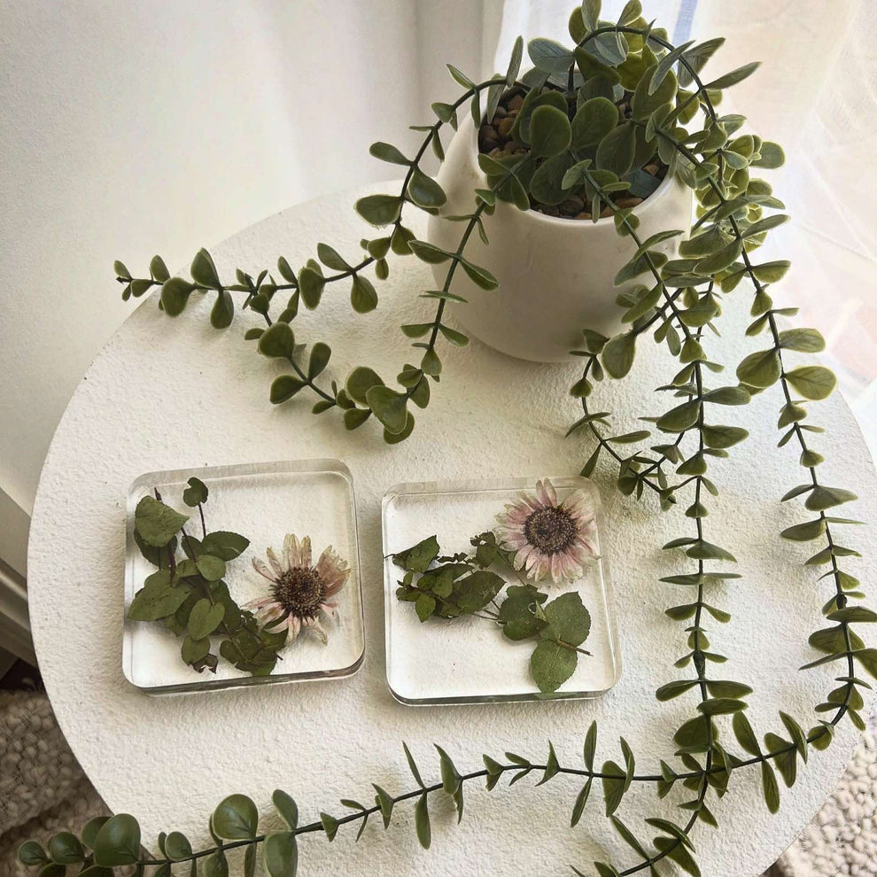 Square Coasters – mini murray and me