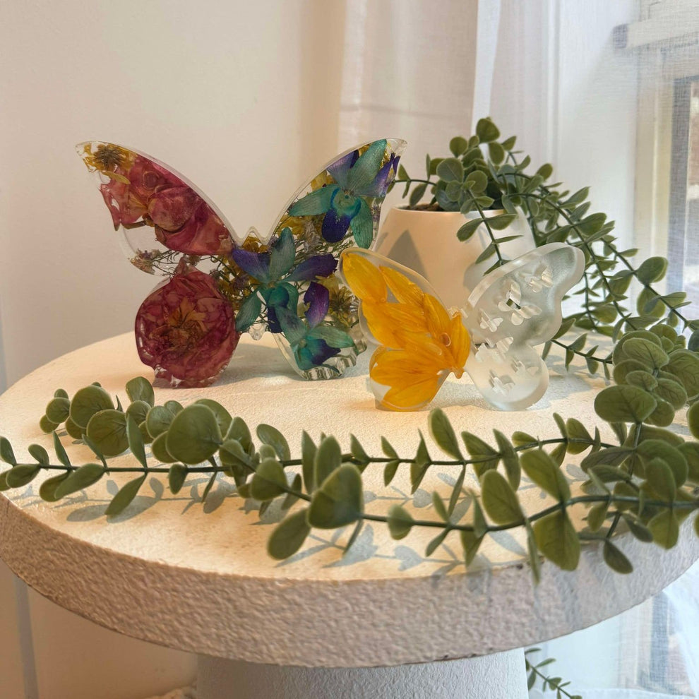 Butterfly Duo – mini murray and me